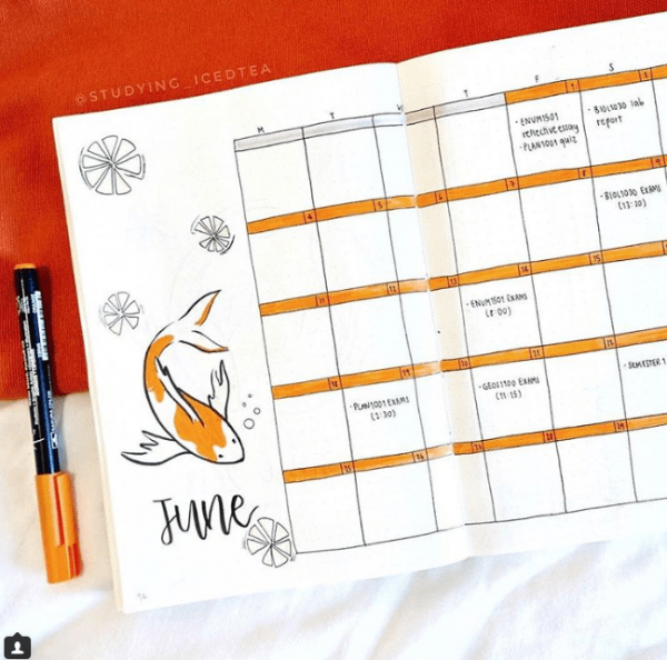 15 Stunning Orange Bullet Journal ideas and Spreads