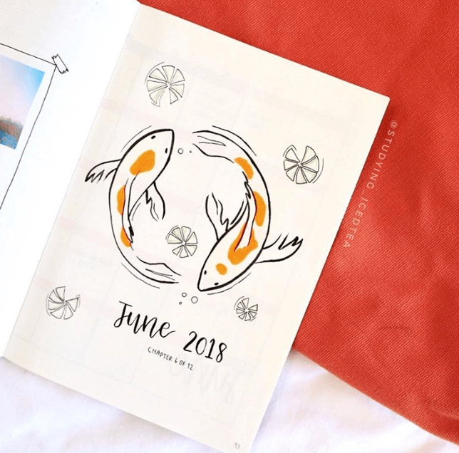 15 Stunning Orange Bullet Journal ideas and Spreads