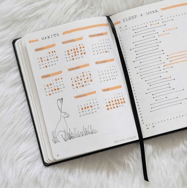 15 Stunning Orange Bullet Journal ideas and Spreads
