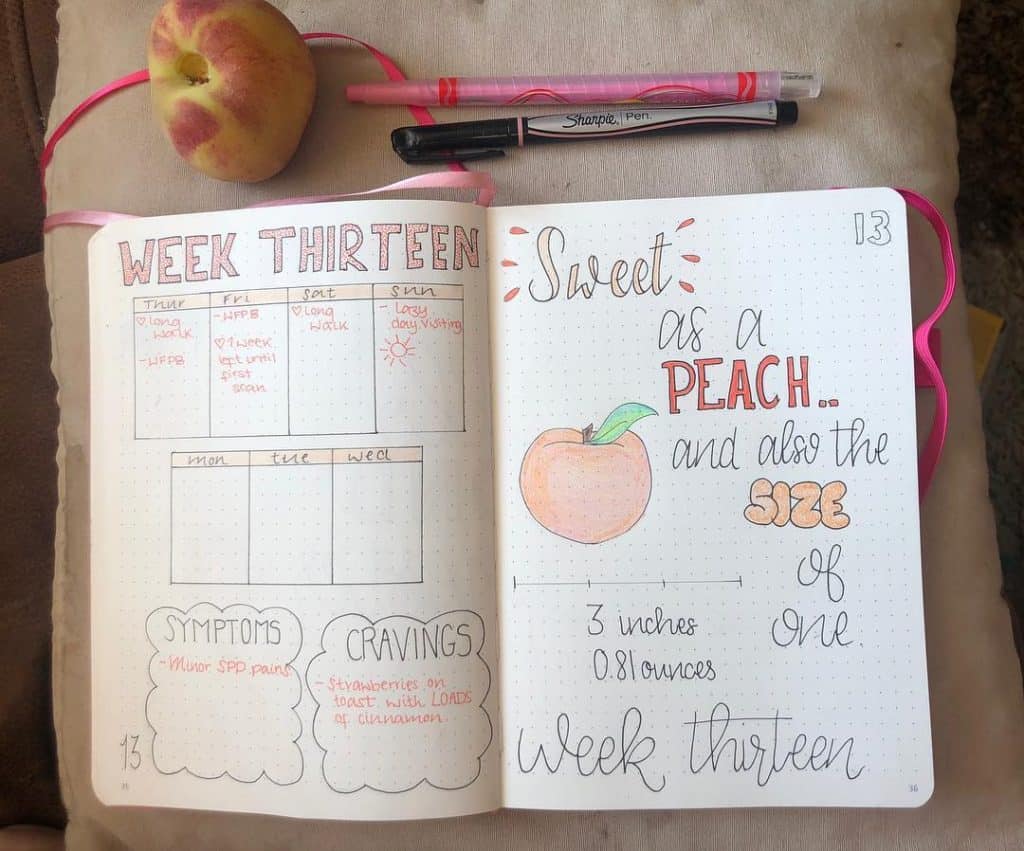 Pregnancy Bullet Journal Ideas Pregnancy Bullet Journal Ideas