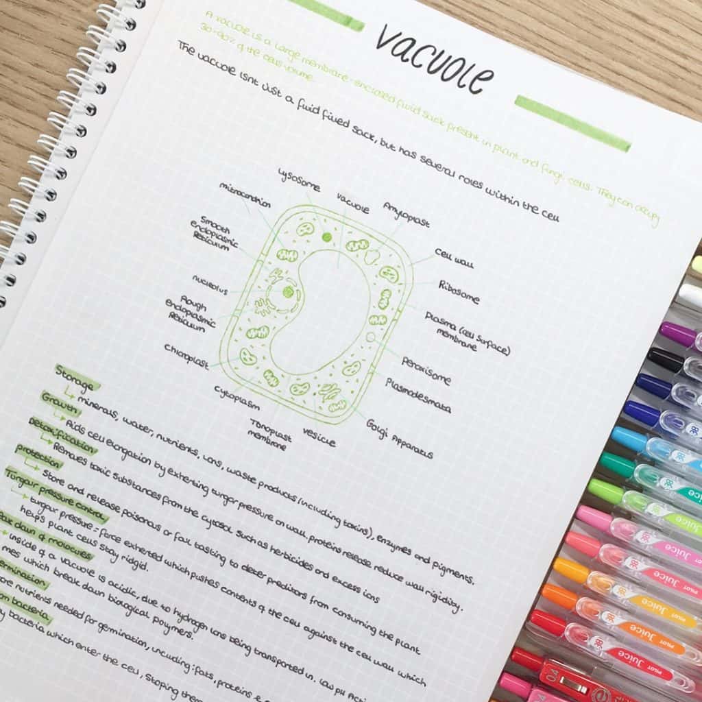 What is Studygram and Studyblr? (30+ layouts and schedules for Students ...