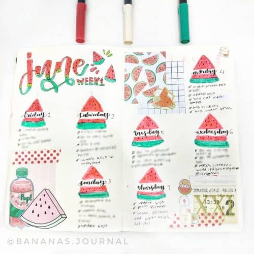 55 Stunning Watermelon bullet journal ideas | My Inner Creative