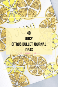 Orange Bullet Journal Archives