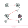 Simple Floral Doodle Tutorials - 11 Step-by-Step flowers!